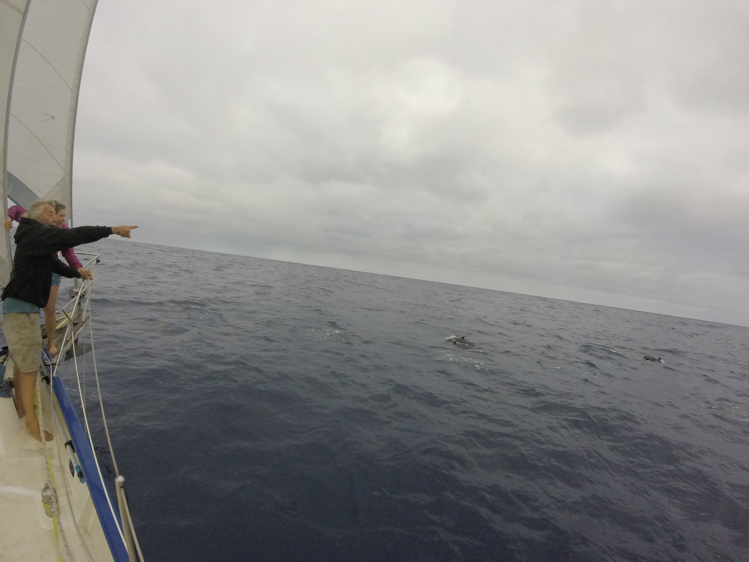 Voyaging Pictures – Schooner Shellback